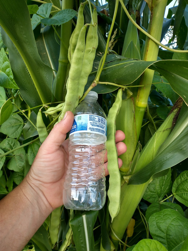 IMG 20220729 202244718 HDR — Postimages