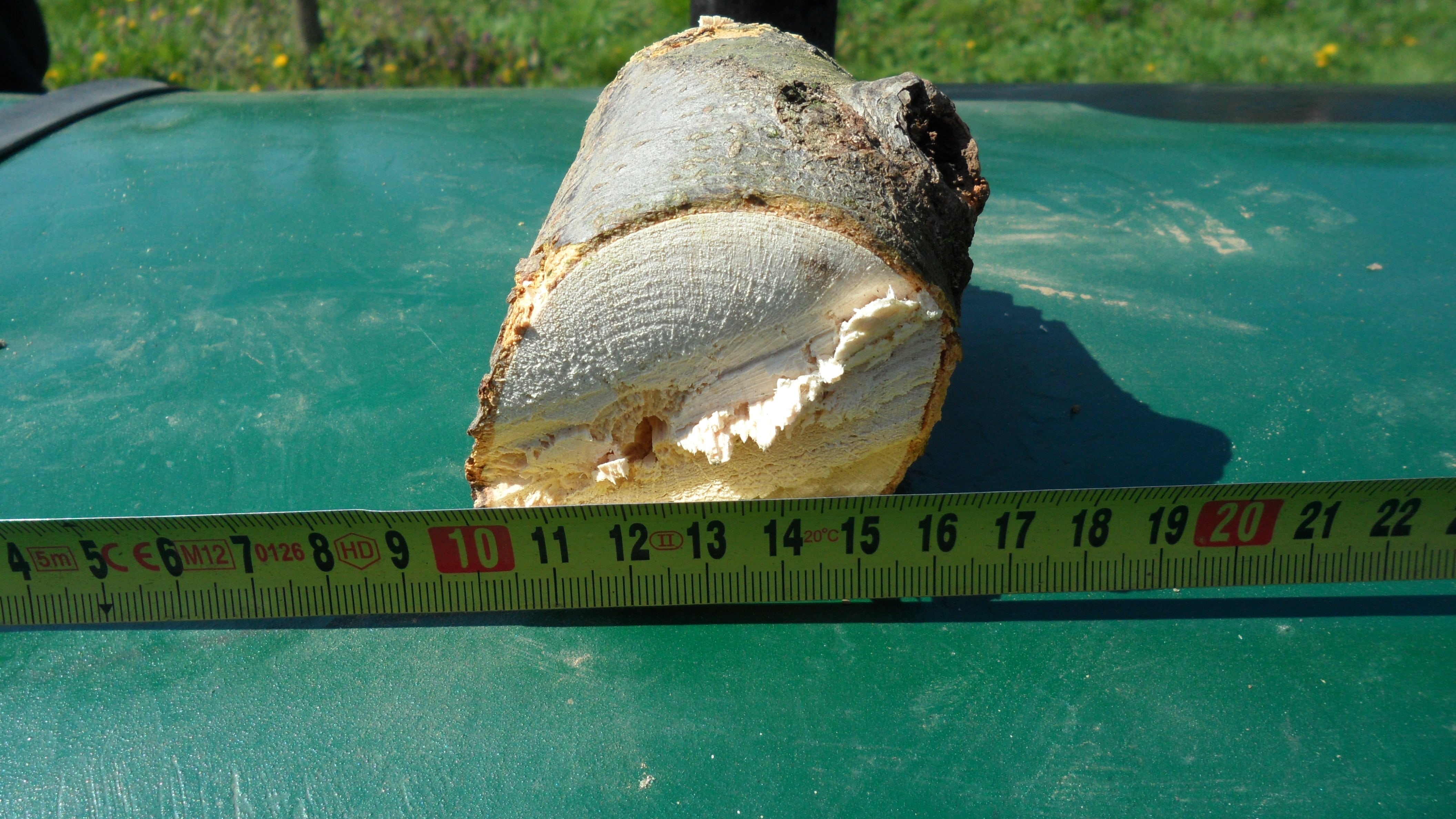 SAM 5257 — Postimages