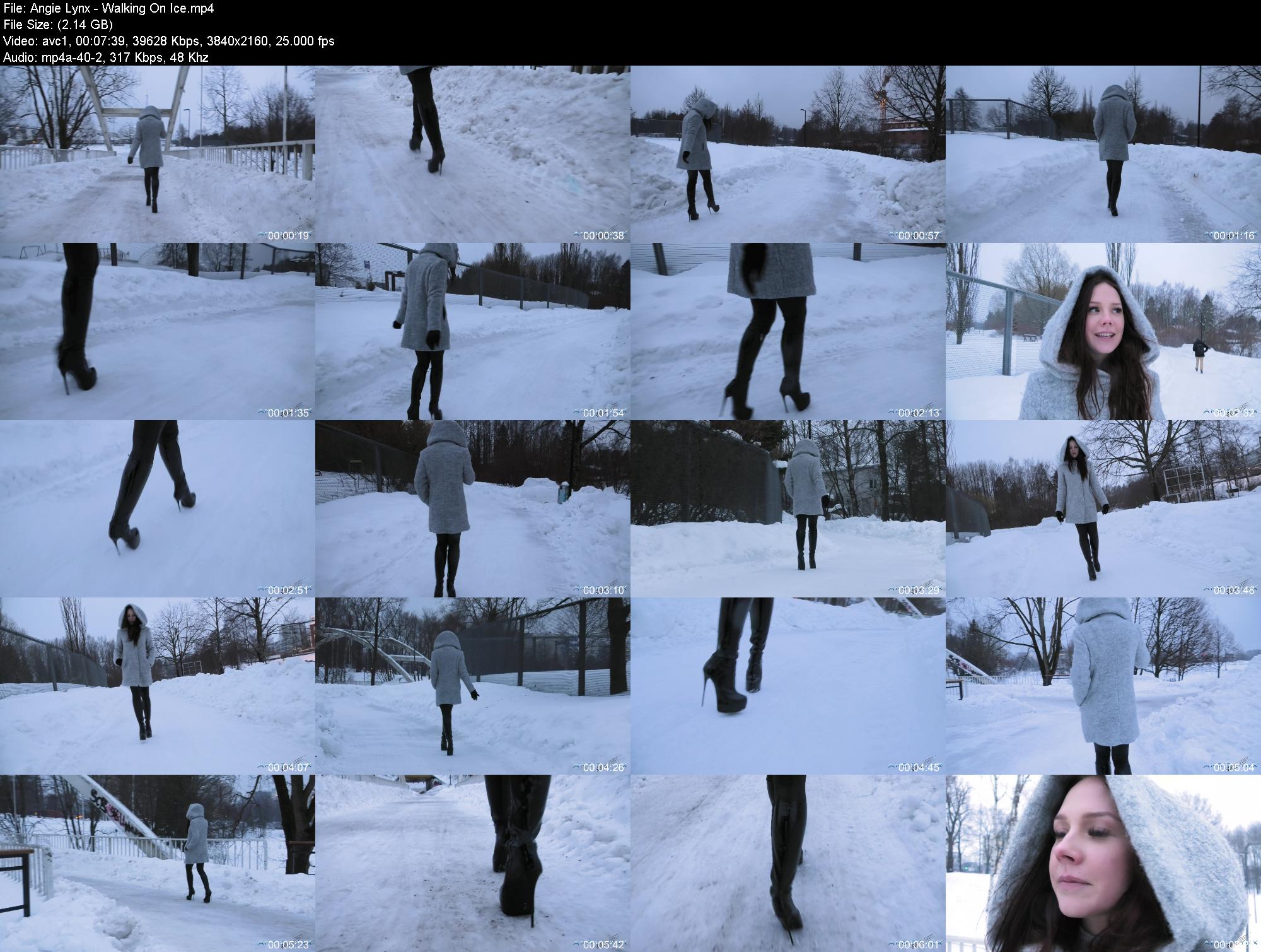 Angie Lynx Walking On Ice — Postimages