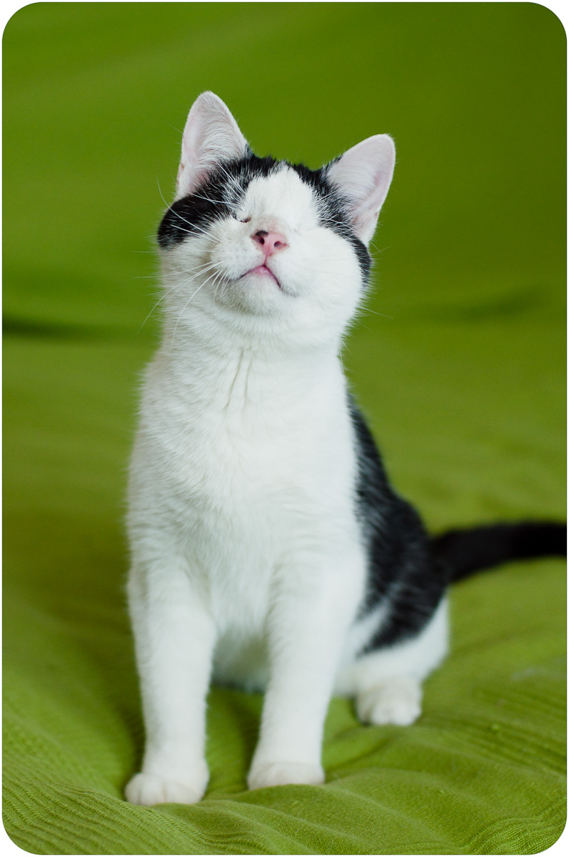 vik 60 — Postimages