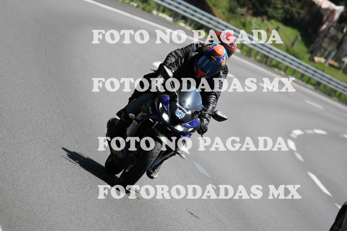 IMG 1231 — Postimages