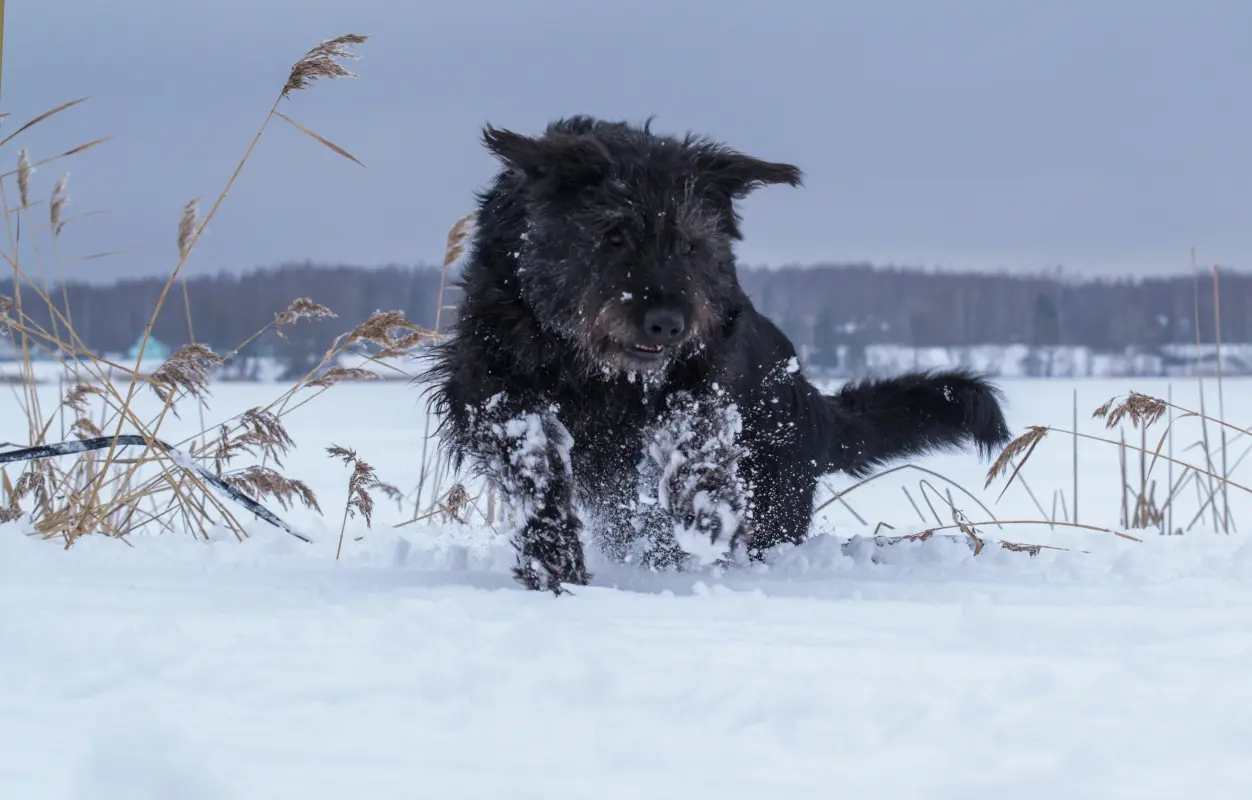 7h XT6 Ctfdt E — Postimages