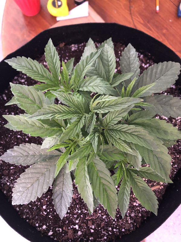 image00012 — Postimages