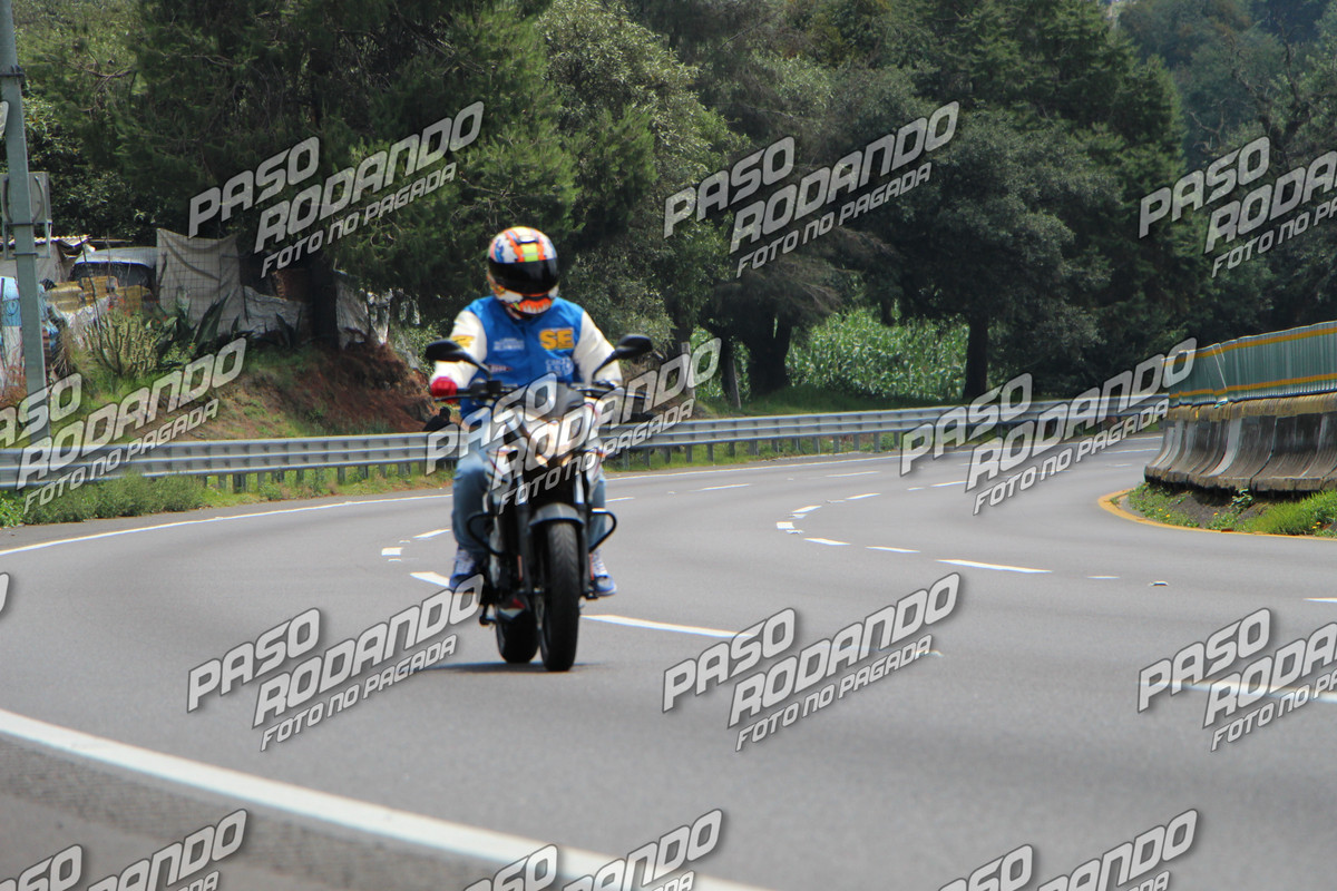 Album — Postimages