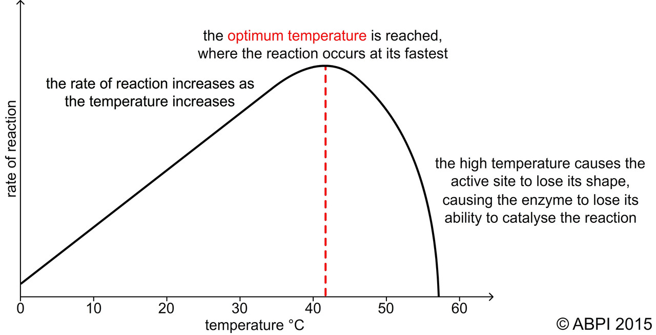 temperature rate — Postimages