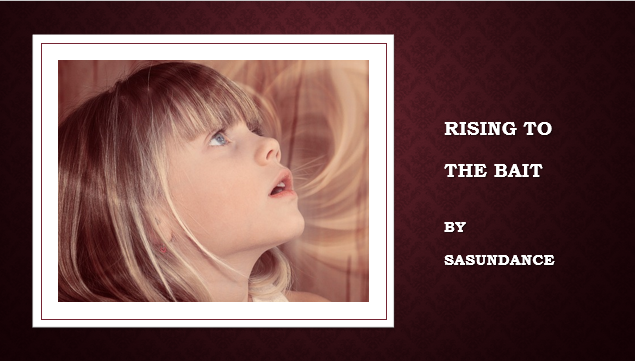 Rising To The Bait - SASundance - NCIS [Archive of Our Own]