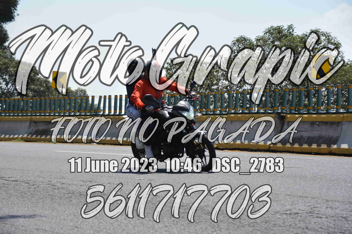 motgr DSC 2783 — Postimages