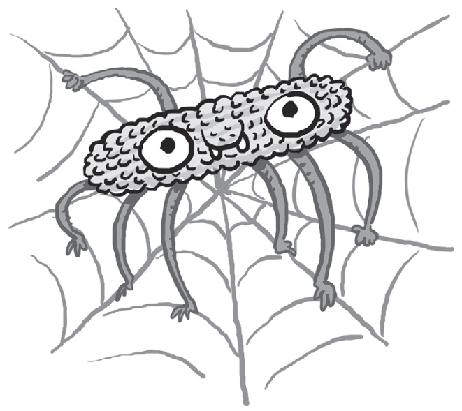Stink #12: Stink and the Hairy, Scary Spider – Megan McDonald ...
