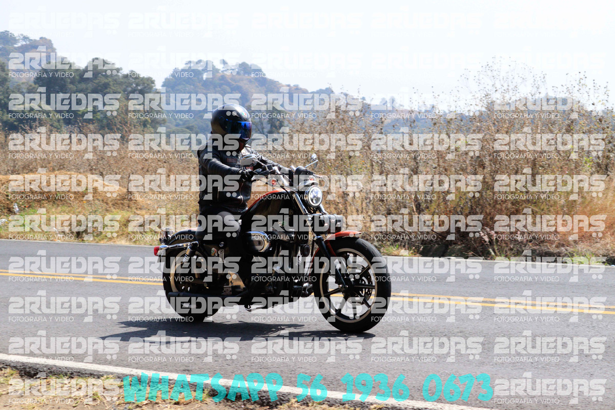 MG 0795 — Postimages