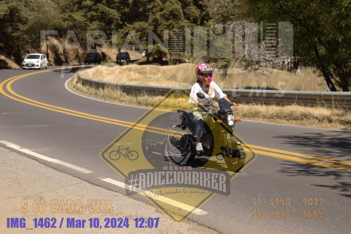 IMG 1462 — Postimages