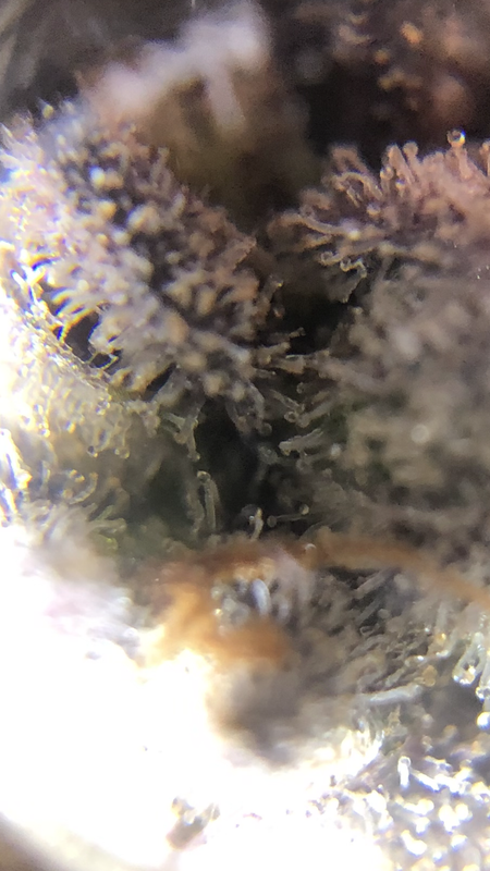 image00002 — Postimages