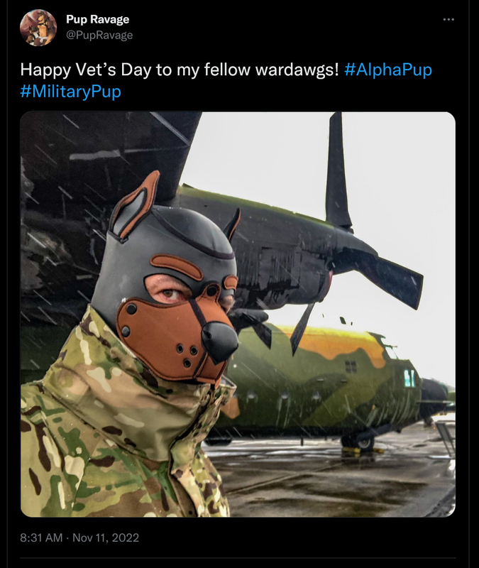 1670878477046202 — Postimages