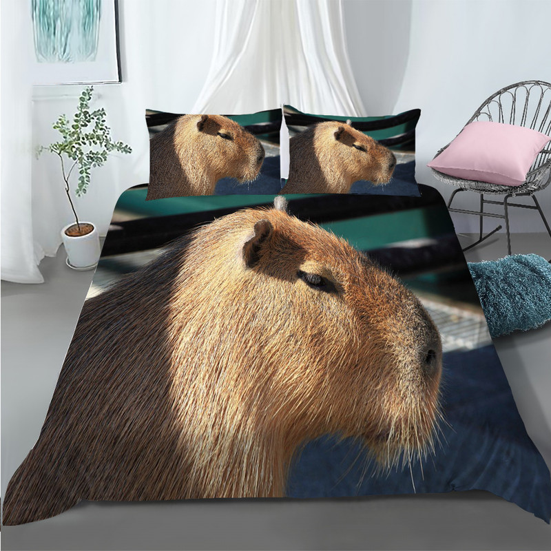 1640132903 12 animeshka org p capybara and guinea pig zhivotnie krasivo ...