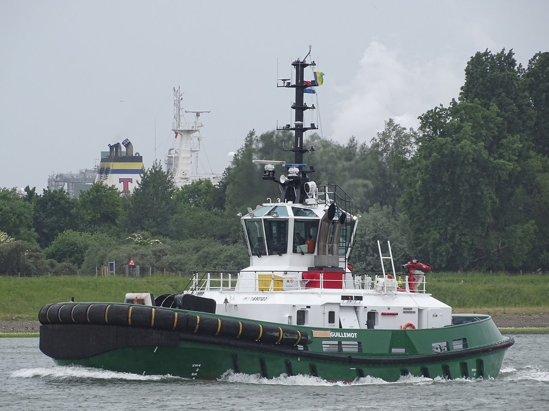 Guillemot, ex 51, 27 5 2025, nr 2 — Postimages