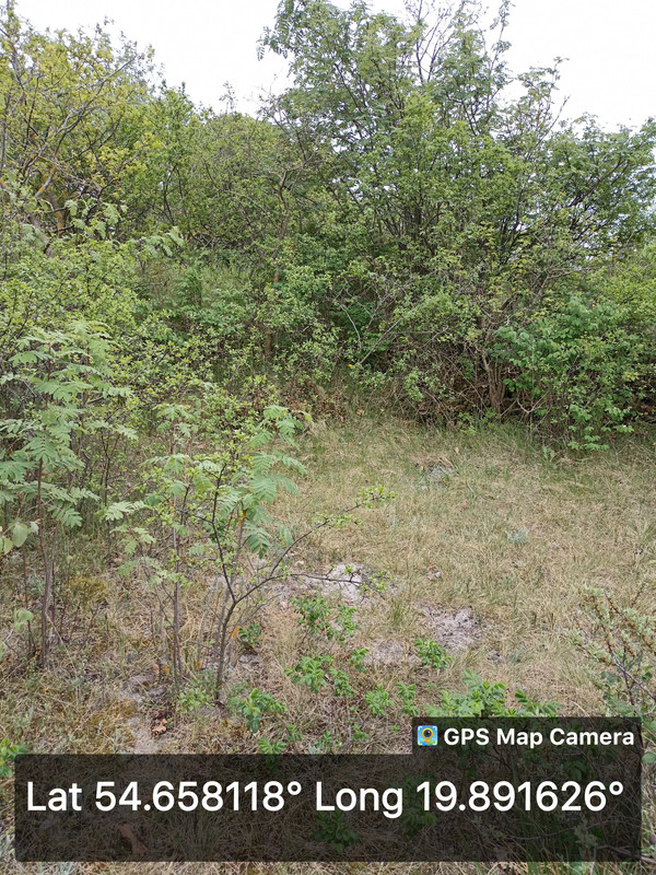 20230515 110811 понедельник 172 By GPSMap Camera — Postimages