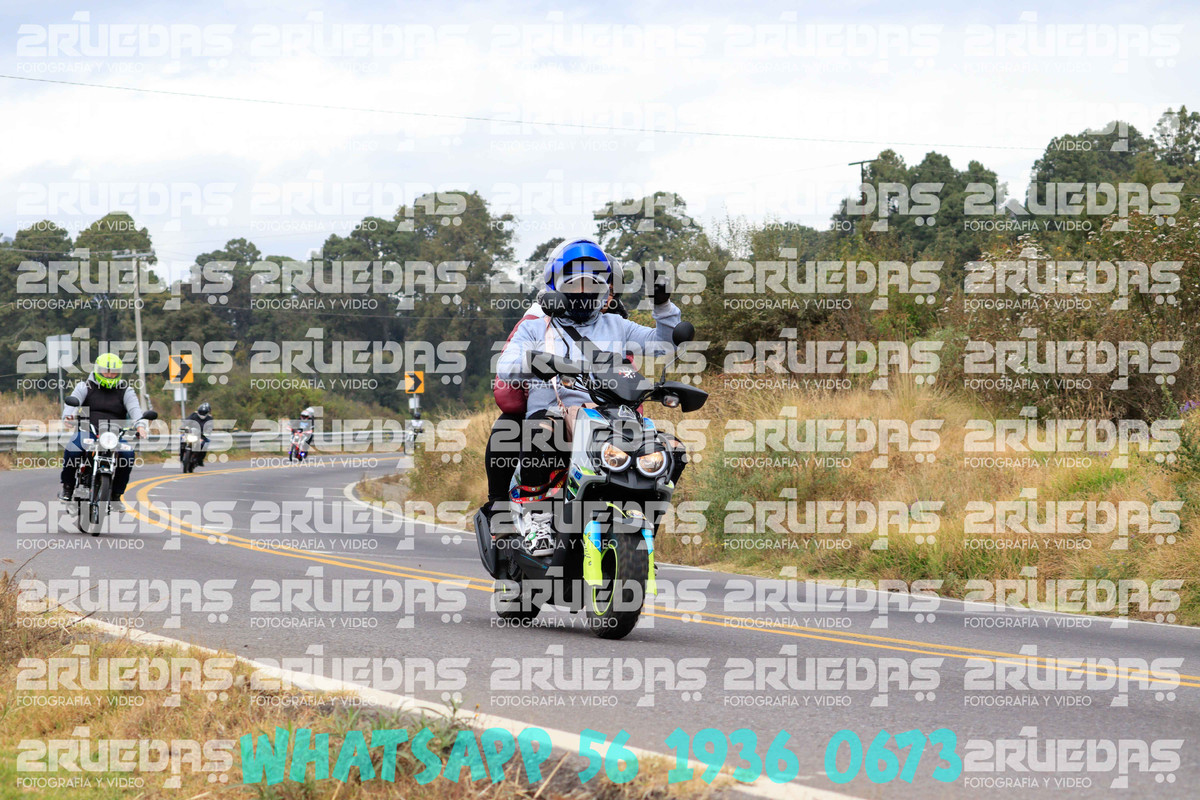 MG 0910 — Postimages