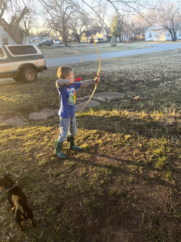 IMG 3729 — Postimages