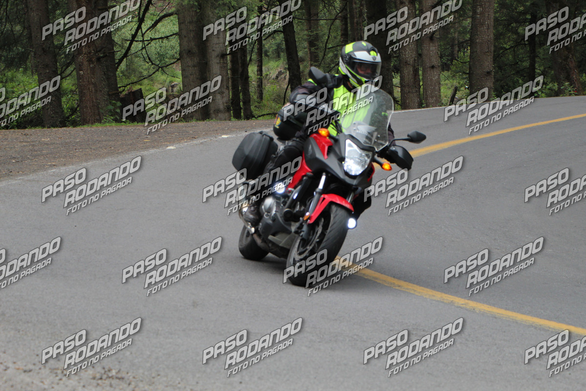 IMG 8367 wm 2071722 6 watermarked — Postimages