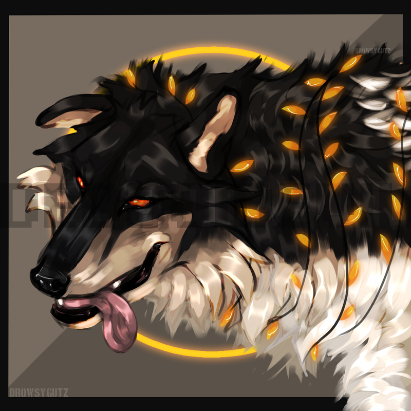 58505290 jgufuc Ts W — Postimages