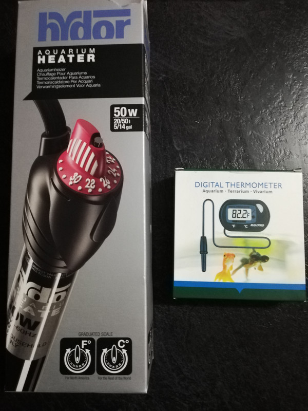 postman — Postimages