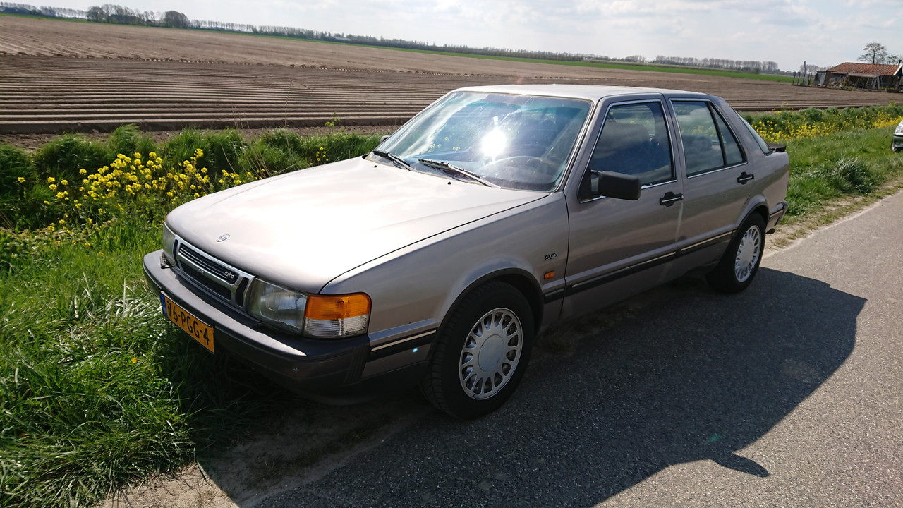 DSC 1004 — Postimages