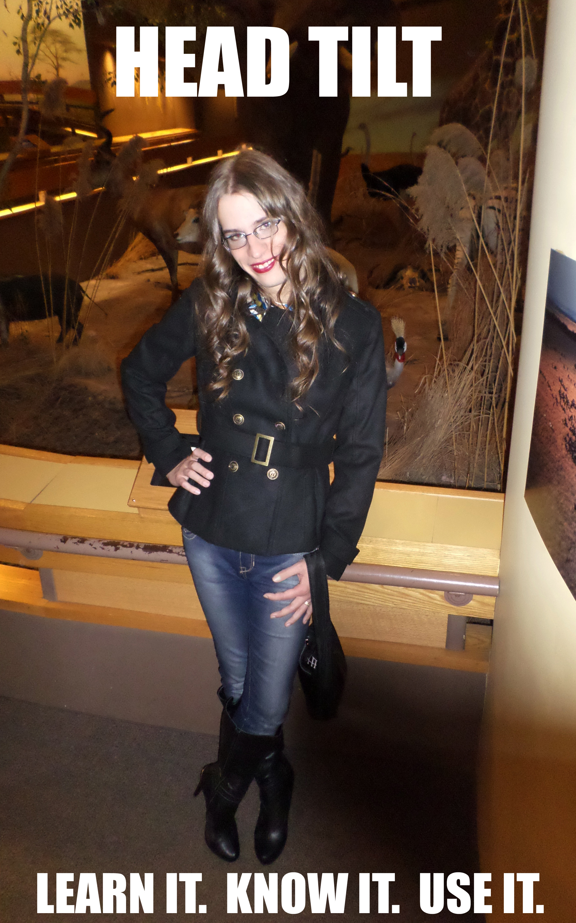 Head Tilt — Postimages