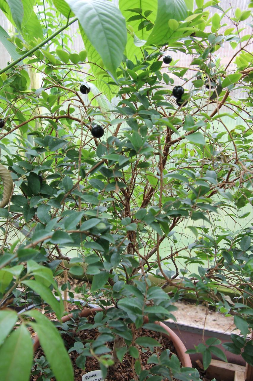 IMG 3077 — Postimages