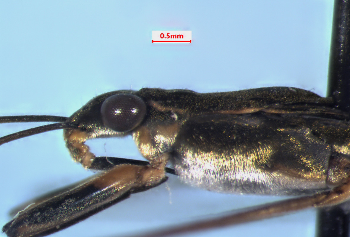 07007 2017dj5 2 — Postimages