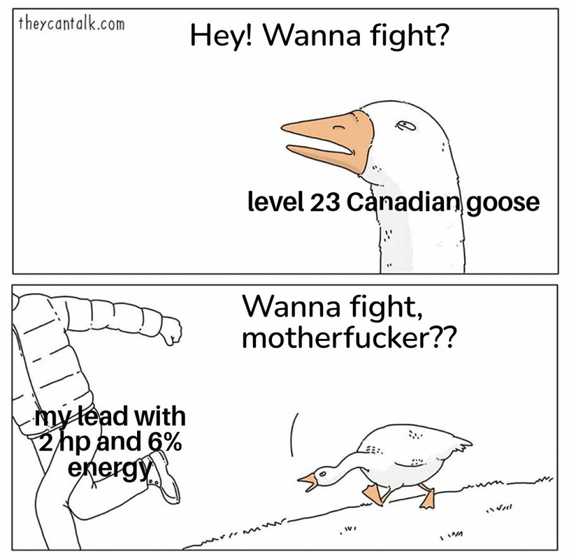 Goose Chasing Guy 26012024040141 — Postimages