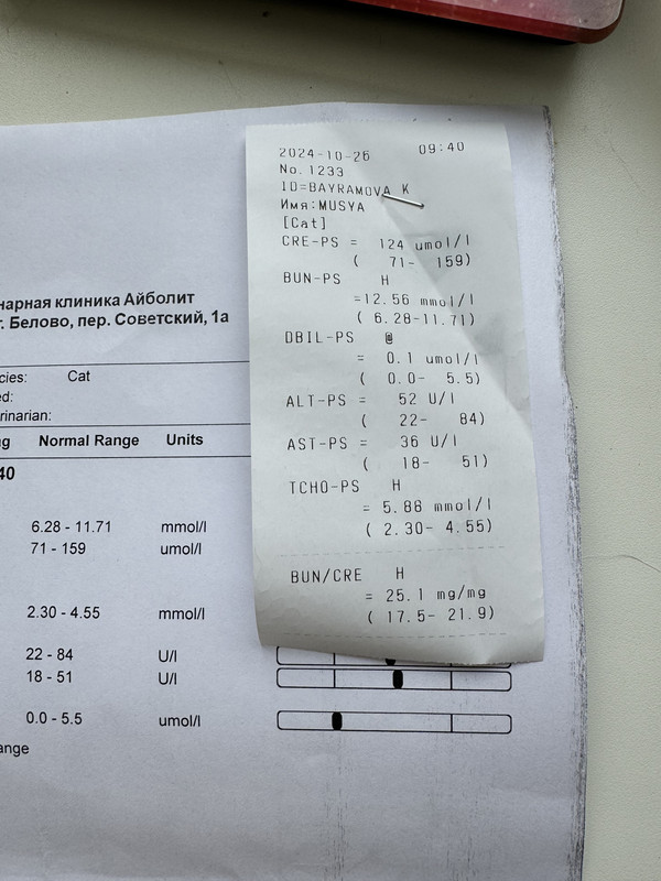 IMG 5136 — Postimages