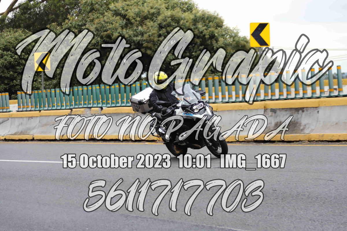 motgr IMG 1667 — Postimages