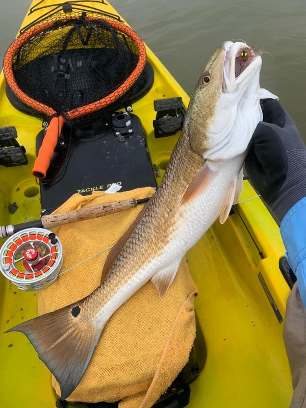 Corpusfishing.com :: View topic - Feeling queasy but fishing anyway