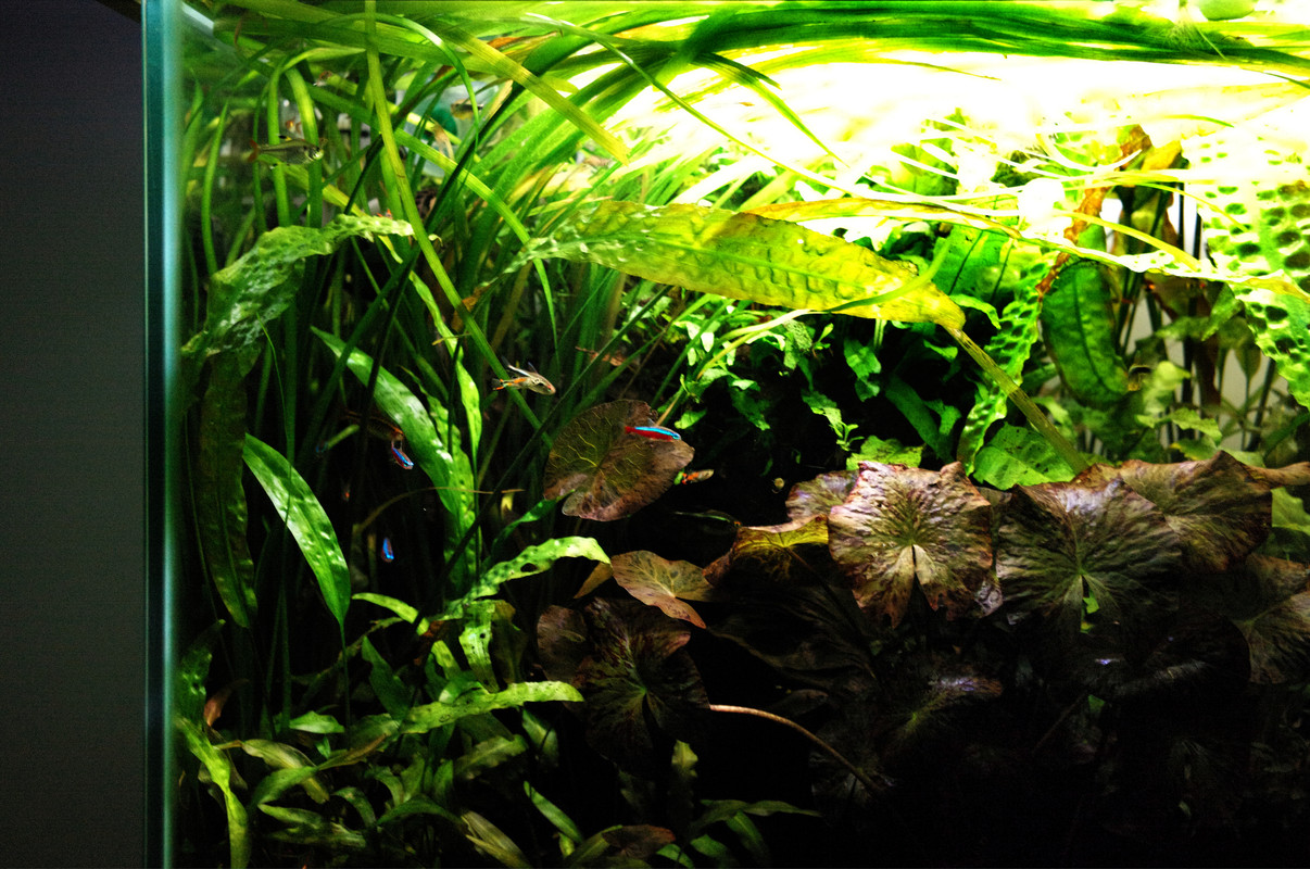 Left side Oct 22 — Postimages