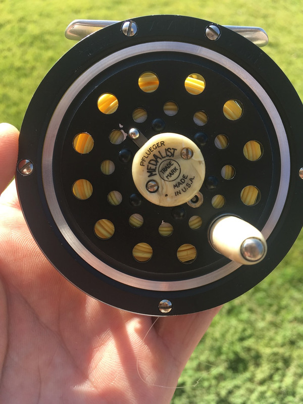 IMG 3315 — Postimages