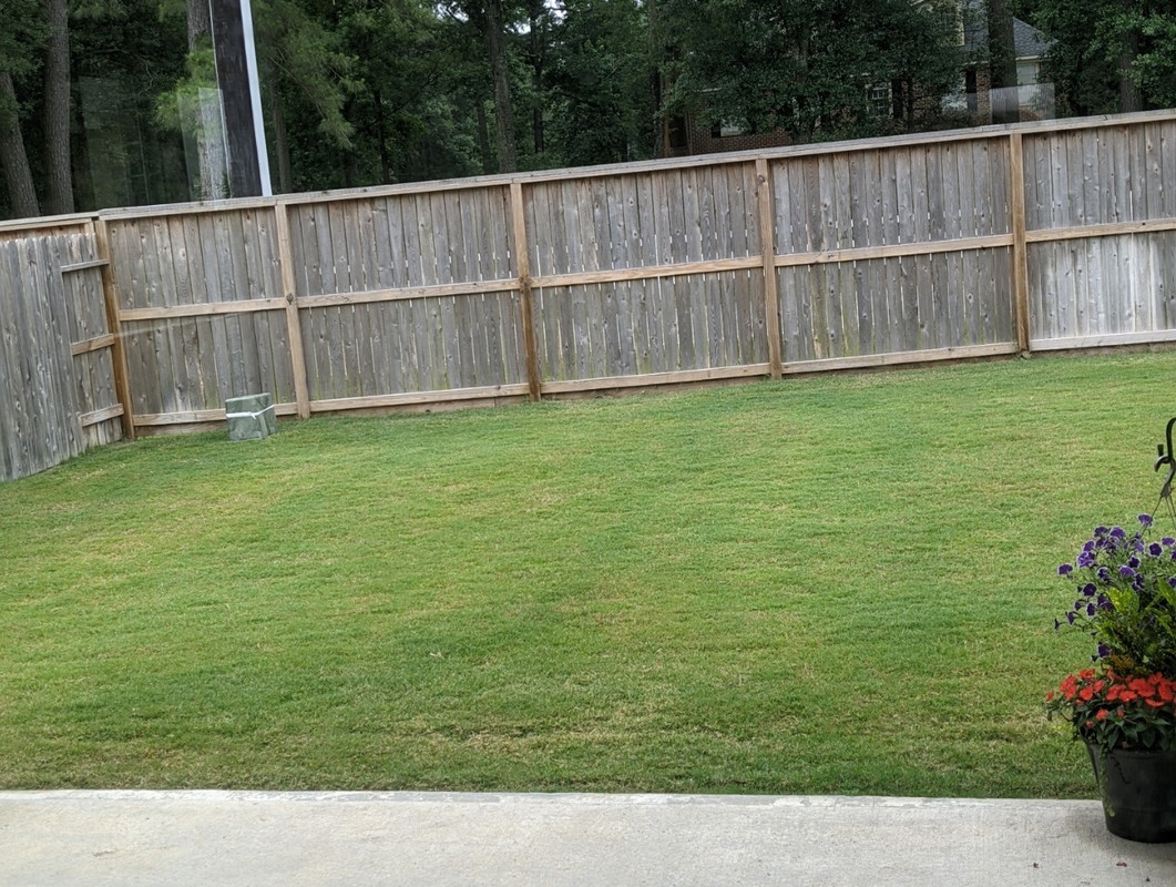 backyard — Postimages