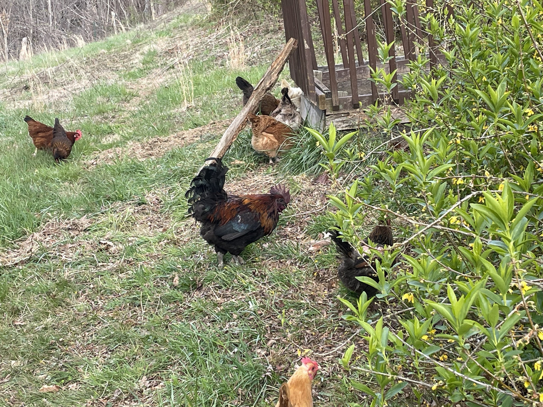 IMG 2193 — Postimages