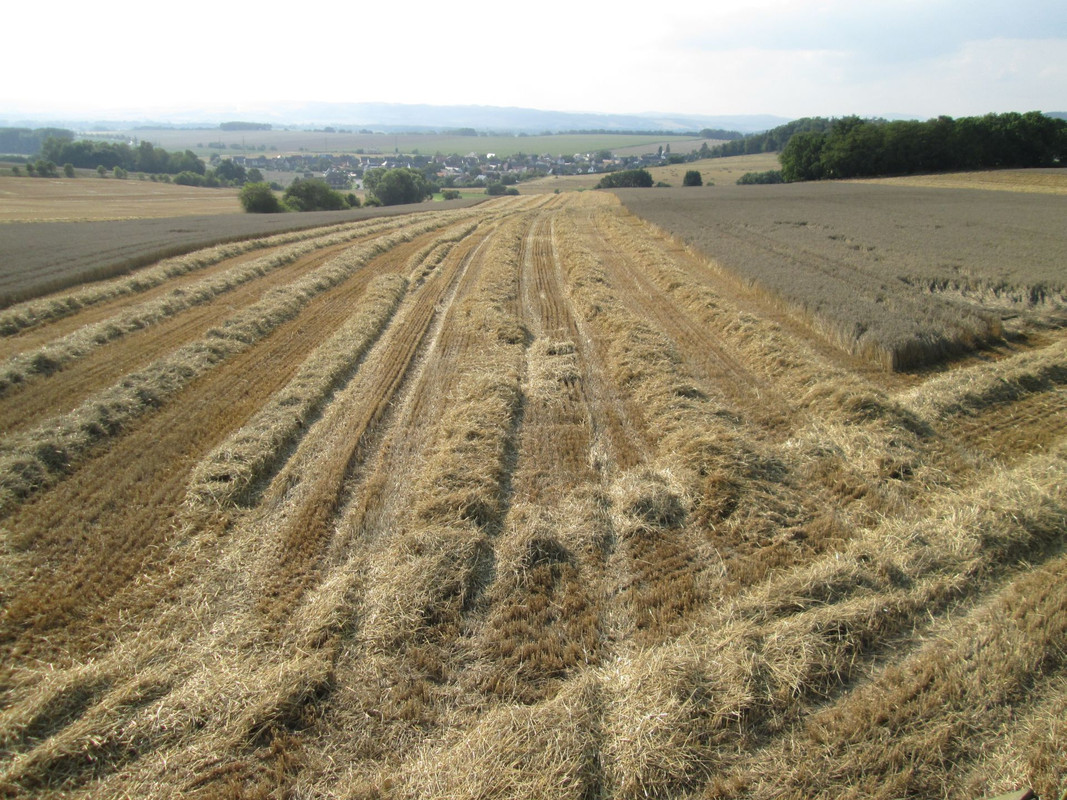 IMG 0577 — Postimages