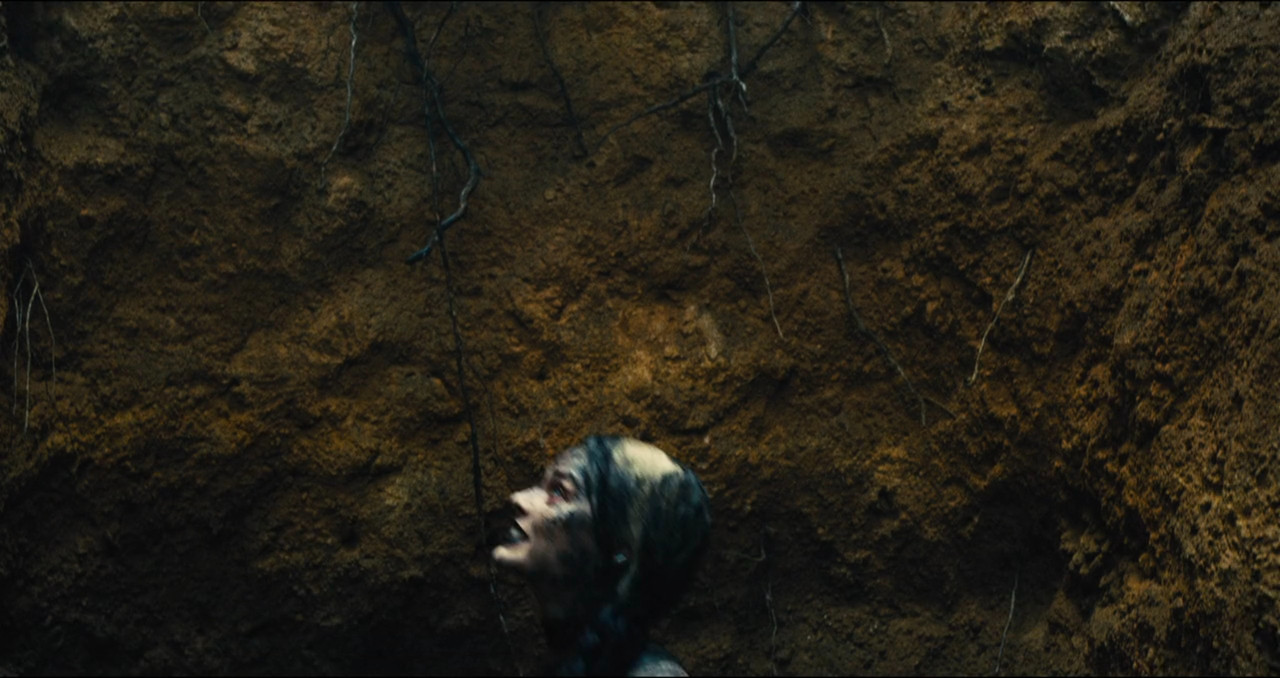 Album — Postimages