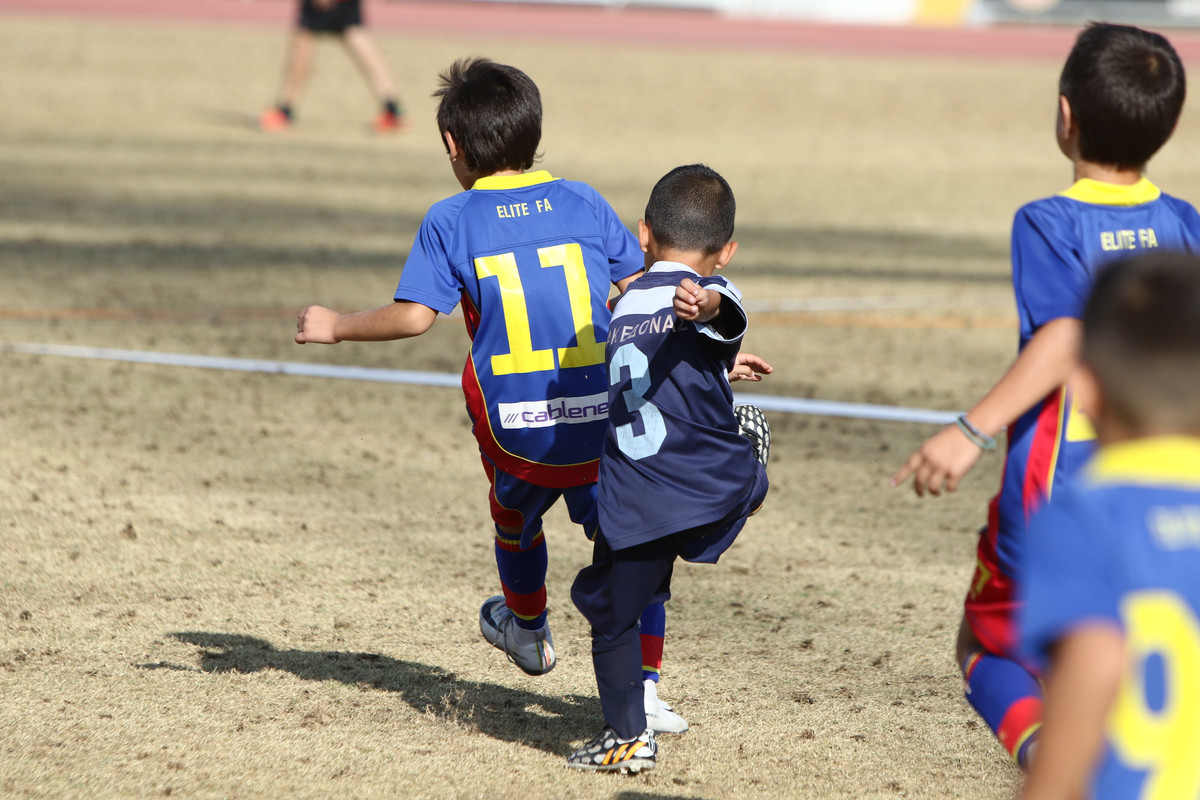 VIK 3032 — Postimages