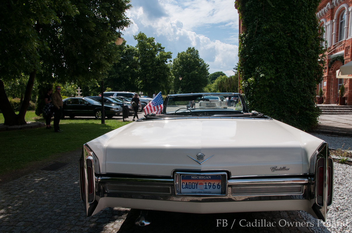 DSC 0585 — Postimages