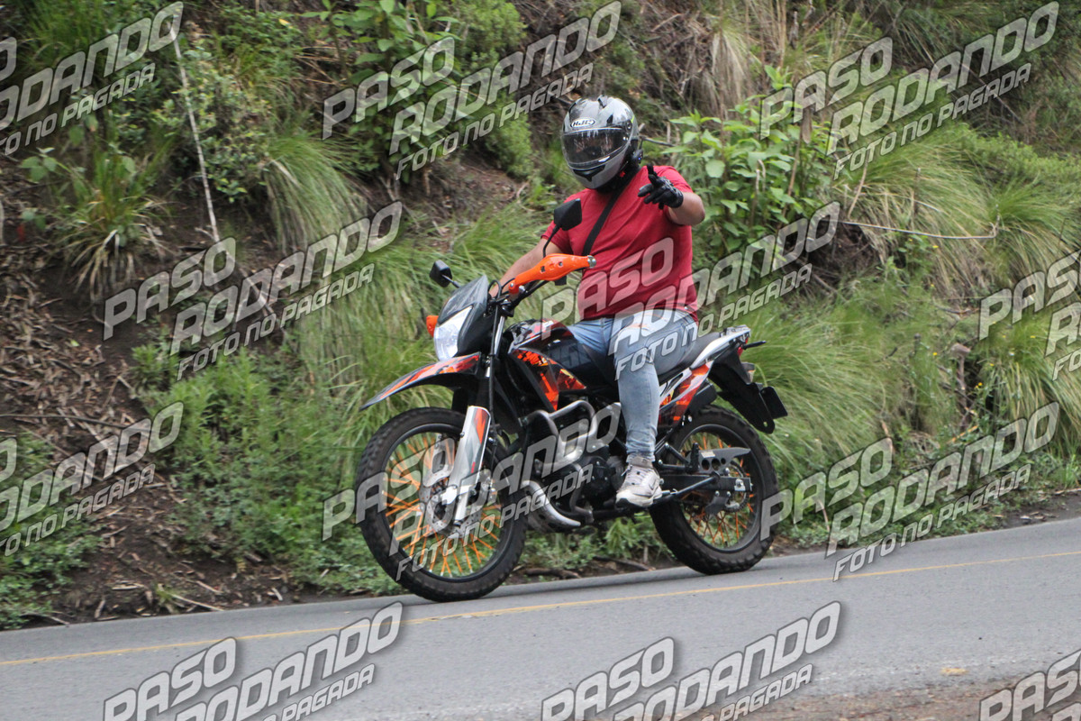 IMG 9356 wm 228508 40000000037 watermarked — Postimages