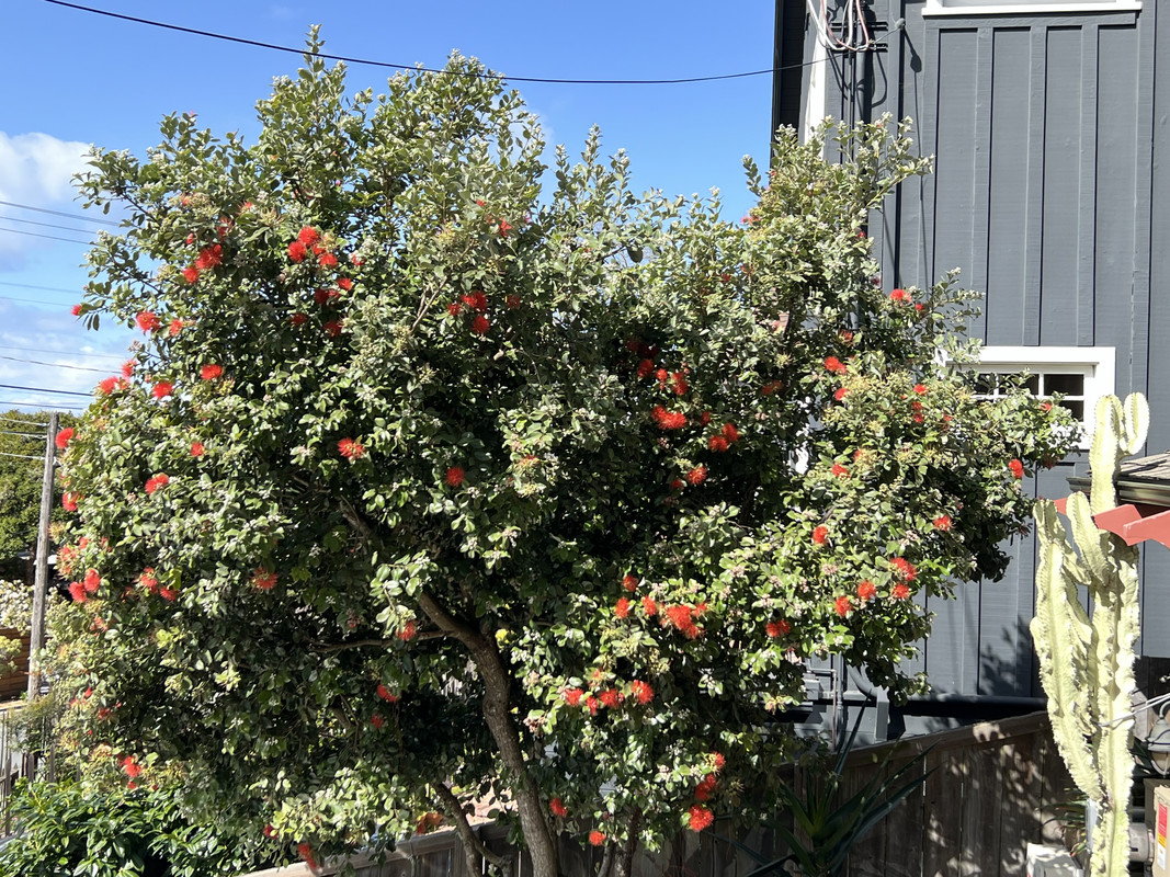 IMG 2011 — Postimages