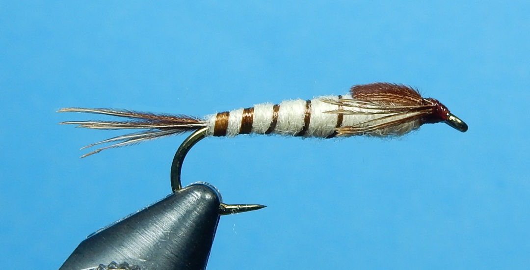 Walker's Mayfly Nymph | Fly Fishing Forum