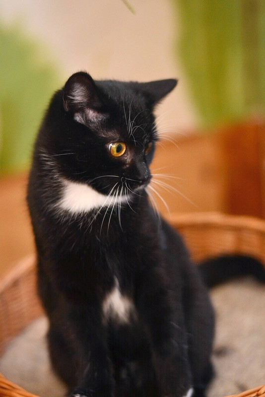 DSC 0126 — Postimages