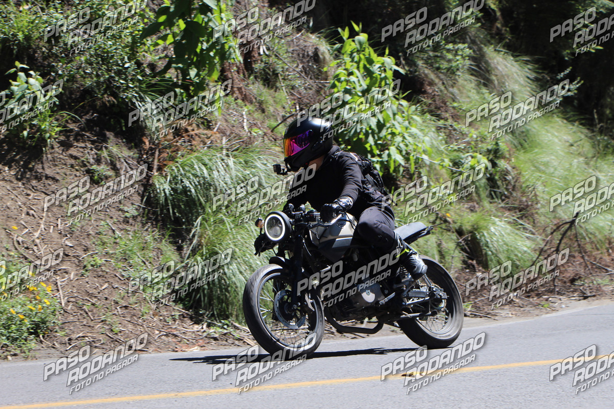 IMG 4272 wm 1922016 watermarked — Postimages