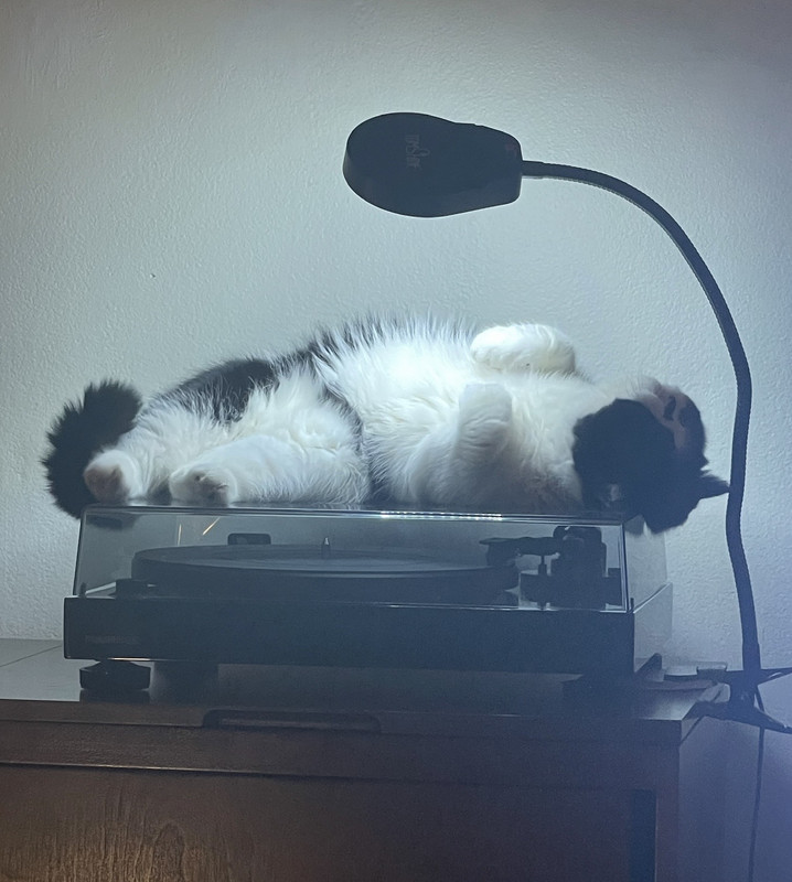 "CD Renaissance & My Favorites." Please join me live with Steven ...