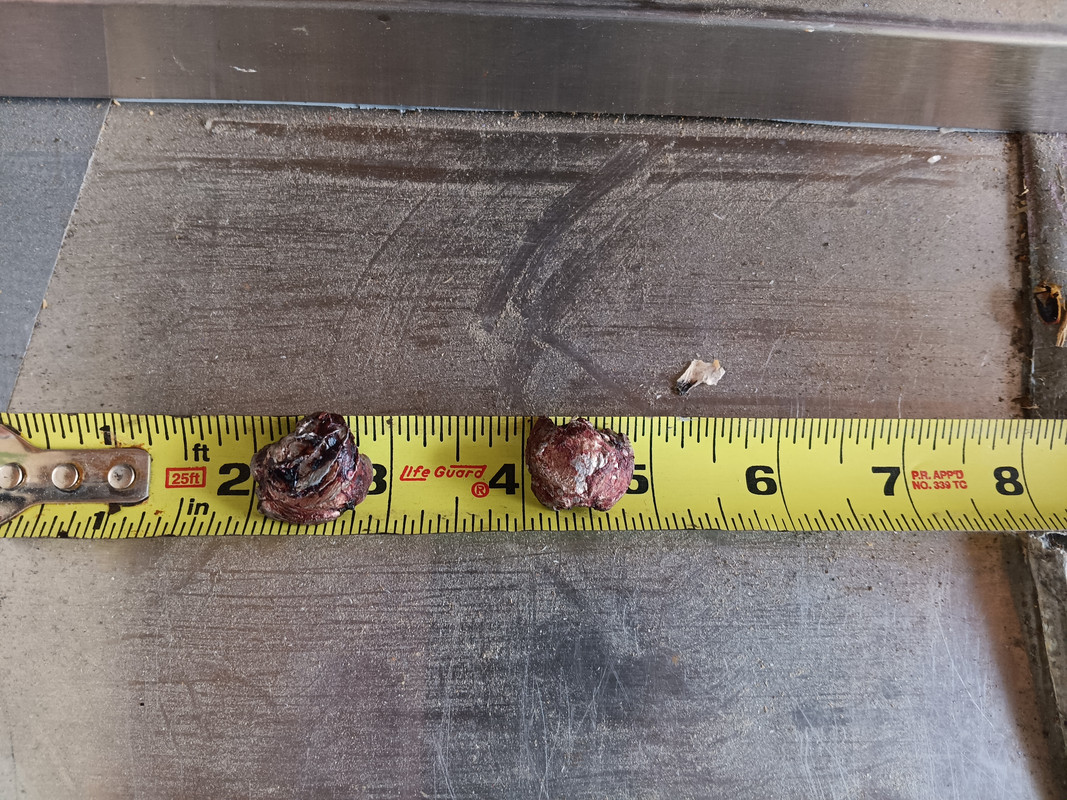 338 RCM vs 35 Whelen - 24hourcampfire