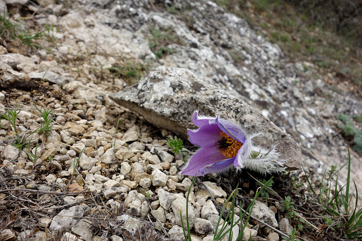 DSC08061 — Postimages