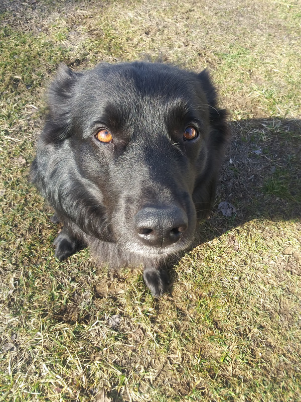 20200109 135415 — Postimages