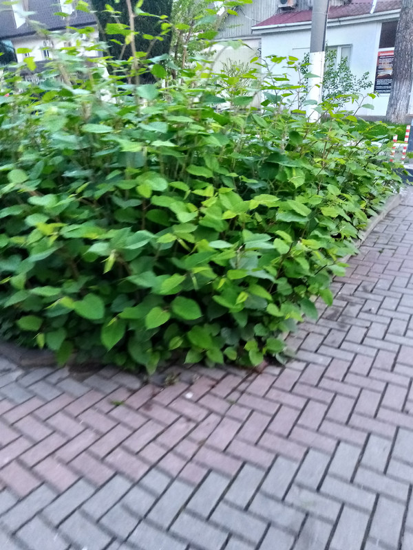 IMG 20230502 192139 — Postimages